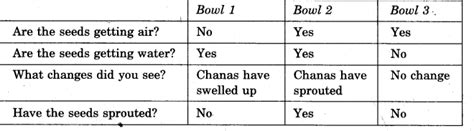 Ncert Solutions For Class 5 Evs Chapter 5 Seeds And Seeds Ncert Books