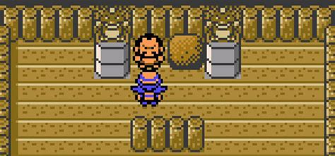 Where To Get The Good Rod In Pokémon Crystal Guide Strats