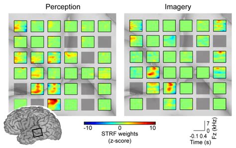 Spectrotemporal Receptive Fields Strfs 265 Examples Of Standard