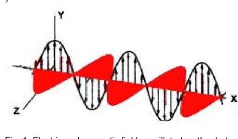 Figure 1 From The Sar Values Predicted By “fdtd” Using A Mouse Body