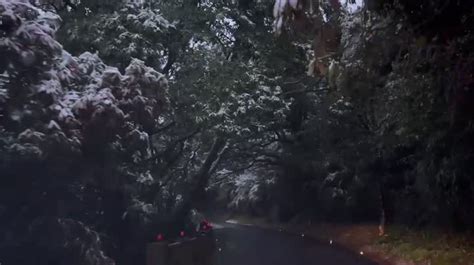 陽明山下冰霰 19歲男追雪 會車不慎1車3人滑落邊坡 時事 聯合影音