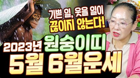 삼재에도 기쁜 일 웃을 일이 끊이지 않는 나이가 있다 2023 계묘년 원숭이띠의 음력 5월 6월 운세 자비원벼락대신