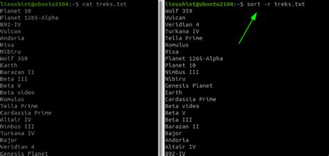 Fizz Roam Tips R Alphabetize Columns In Data Analysis You Can Sort