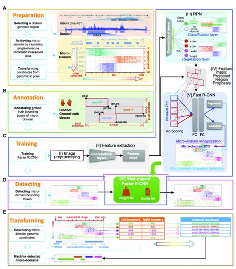 MCI Frcnn Working Flow A Data Preparation Phase B Annotation
