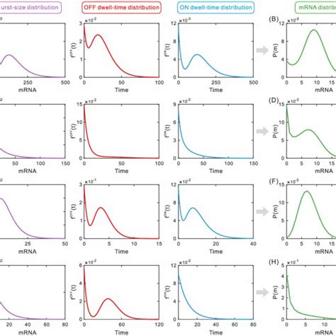 Influence Of Transcriptional Bursting Kinetics On Gene Expression