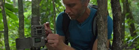 New AI Wildlife Camera Developed To Improve Conservation