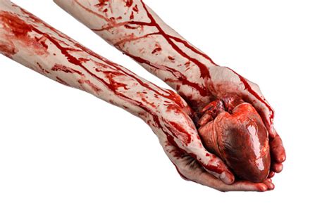 혈액과 할로윈 테마 끔찍한 피 묻은 손을 잡고 스튜디오에서 흰색 배경에 고립 된 인간의 마음을 출혈 찢어진 건강관리와 의술에 대한 스톡 사진 및 기타 이미지 Istock