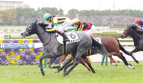 【阪神5r・3歳1勝クラス】永島まなみ騎手がテラメリタで今年の10勝目をマーク「しまいもいい反応をしてくれました」 Umatoku 馬トク