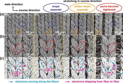 SEM Images Of PCF Stretched To 0 5 20 And 40 Strains At A Low Download Scientific