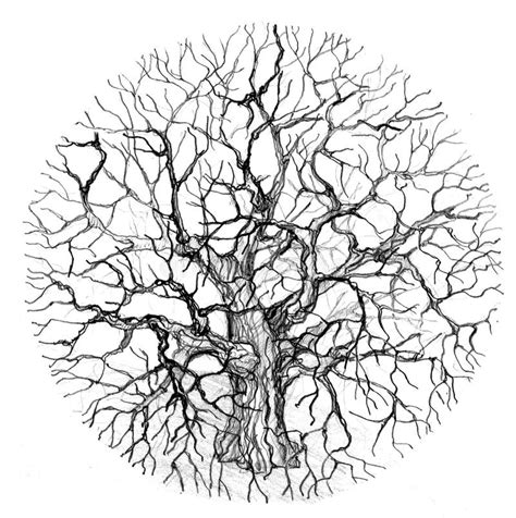 Round Tree Stock Illustration Illustration Of Tree Naked