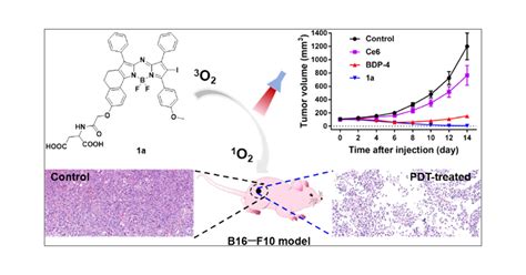 Discovery Of An Amino Acid Modified Near Infrared Aza Bodipy