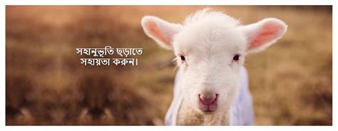 The Coldface Studio কারো কারো মধ্যে এমনকিছু গুন্ আছে যেটা অন্যের