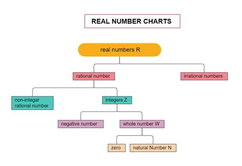 10 Free Blank Concept Map Templates Examples In 2024