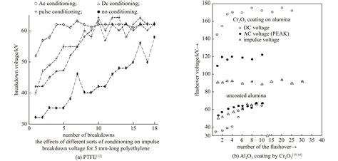 固体绝缘子的真空沿面闪络研究