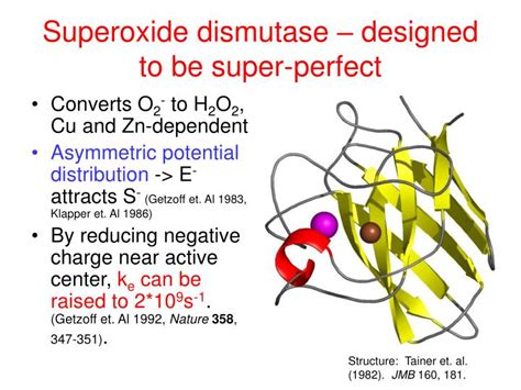 Ppt Lifes Fastest Engines Diffusion Controlled Enzymes How Does