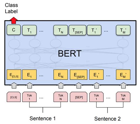 Bert Ahogrammer