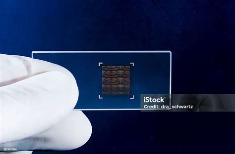 Dna 칩 현미경 슬라이드에 대한 스톡 사진 및 기타 이미지 현미경 슬라이드 컴퓨터 칩 실험실 Istock