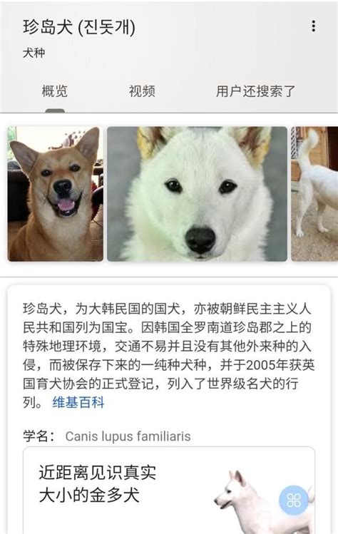 我独自生活又怎么了，张度练朋友的狗狗可以叫日本式名字春树吗 360娱乐，你开心就好