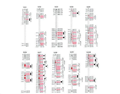 qtl mapping of yield traits in f 2 population of sorghum sudangrass