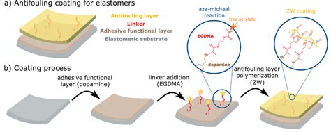 Bacteriophobic Zwitterionicdopamine Coatings For Medical Elastomers Texidó 2022 Advanced