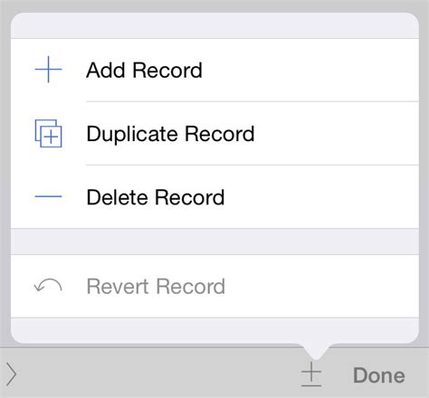Understanding The Filemaker Go 14 Screen