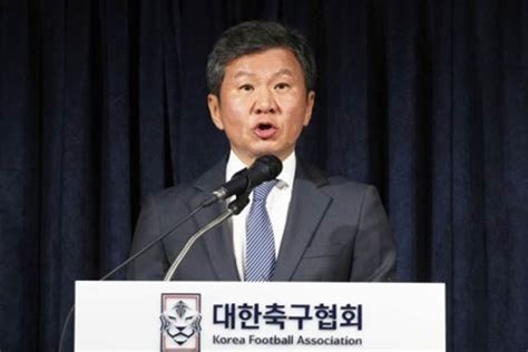 대한축구협회 이사 명단 국내축구 에펨코리아
