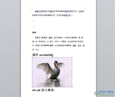 word怎么让图片自由移动 word随意移动图片的方法 极光下载站