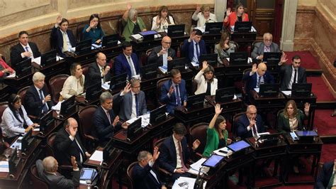 Quiénes Son Los Senadores Que Votarían A Favor De La Ley Bases El