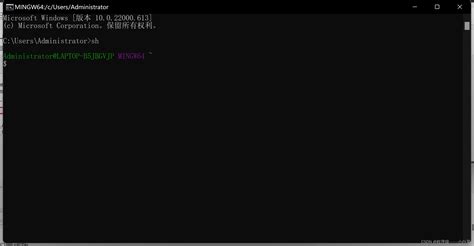 Git下载安装配置以及连接gitlabgit连接gitlab Csdn博客