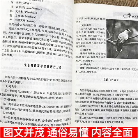 养鸟新技术兽医养殖技术书籍大全动物营养与饲料学动物医学畜牧兽医专业教材笼养鸟鹦鹉百灵鸟鹌鹑鸵鸟大雁信鸽饲养管理繁殖技术虎窝淘
