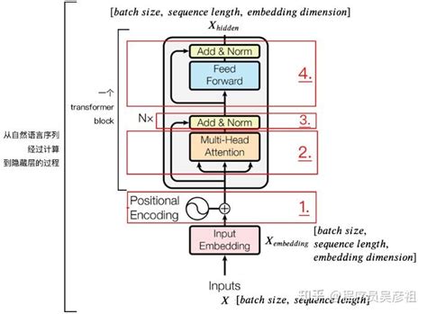 使用pytorch从零实现transformer模型，零基础小白必看，建议收藏起来慢慢学！！ 知乎