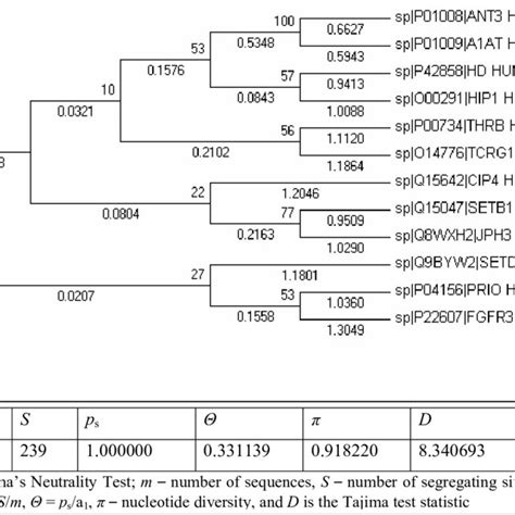 A Simplified Algorithm For The Diagnosis Of Iron Deficiency Anemia