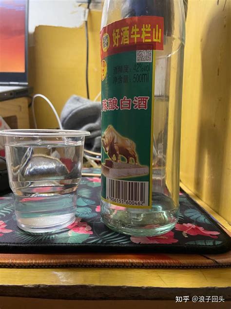 人生苦短，及时行乐 知乎