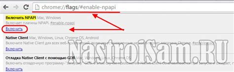 Как В Chrome Включить Npapi Specificationpc