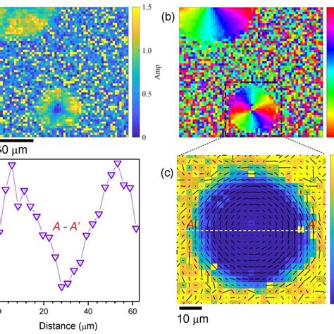 Circular Grid Reference Measured With Fpa Thermal Ir Source Download Scientific Diagram