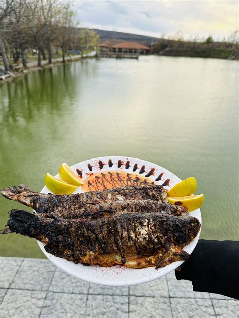 რანჩო ვარიანში Ranch In Variani