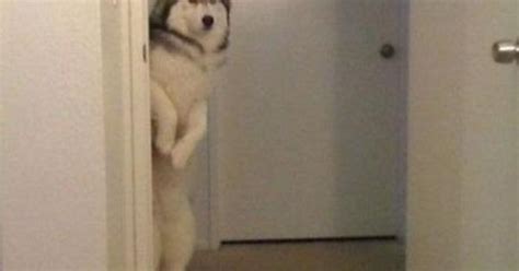 This Gets Me Every Time Haha Imgur