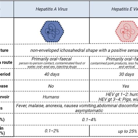Extrahepatic Manifestations In Hev Infections Download Scientific