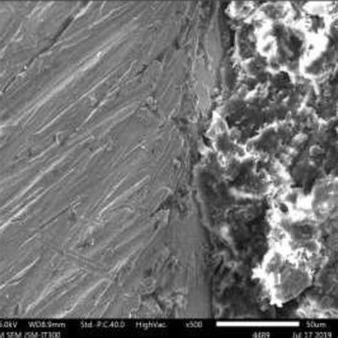 Sem Image Of Group A Autopolymerizing Acrylic Resin Exhibiting Download Scientific Diagram