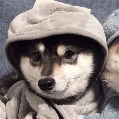 教你使用HTML按钮提示功能 html 提示信息