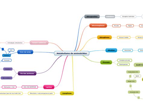 Metabolismo De Aminoácidos Mind Map