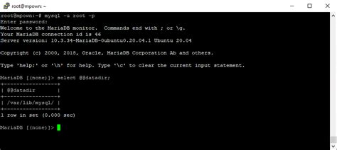 Перемещение базы данных Mariadb 10 в Ubuntu 2004 Internet