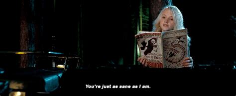 Harry Potter Daily