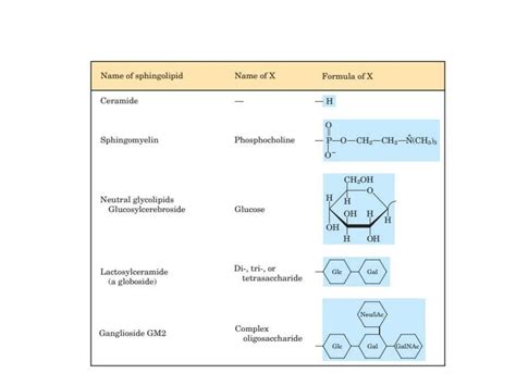 Lipidtypes Of Lipids Classificationpptx