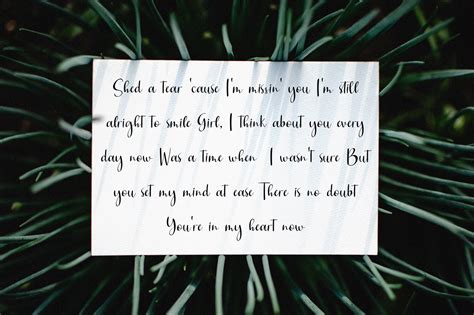 beautiful script font crafting font calligraphy font fonts etsy