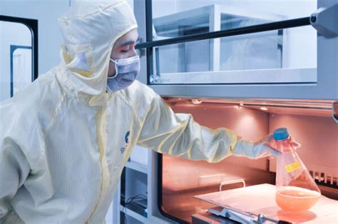 Validation Service Lepure Biotech®