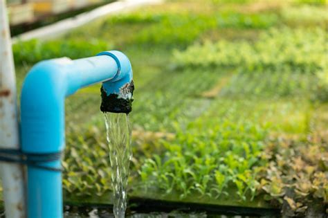 야채 녹색 오크 야채 정원 에코 유기농 현대 스마트에 대 한 수경 시스템 물과 비료 자동화 농장 40 기술 건강한 생활방식에 대한 스톡 사진 및 기타 이미지 Istock