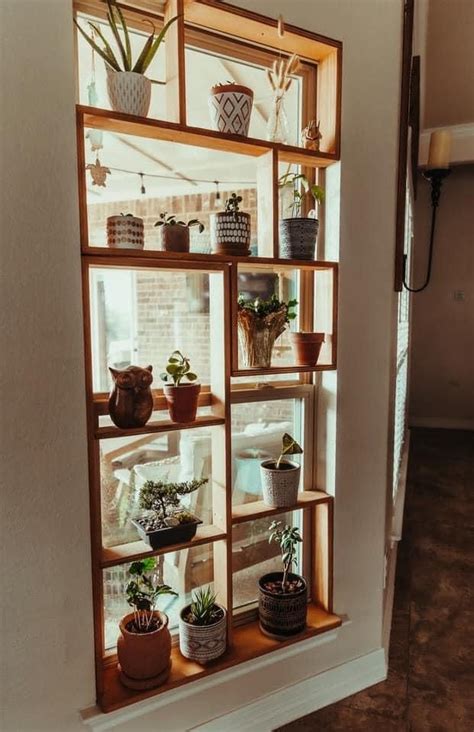 Plant Shelves For Window Artofit