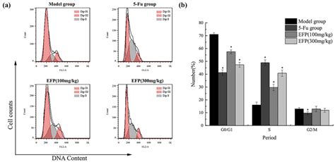 A Flow Cytometry Detection Of The Cell Cycle Of Solid Tumor Cells Download Scientific