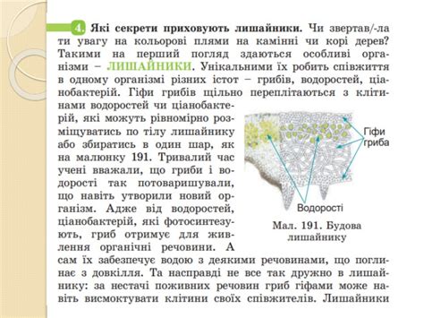 Презентація Наскільки різноманітними є гриби та лишайники і яке їхнє